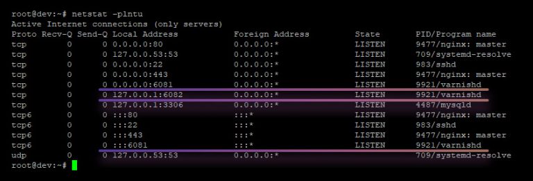 Speed Up Magento 2 With Varnish And Nginx As Ssl Termination On Ubuntu Olegnax